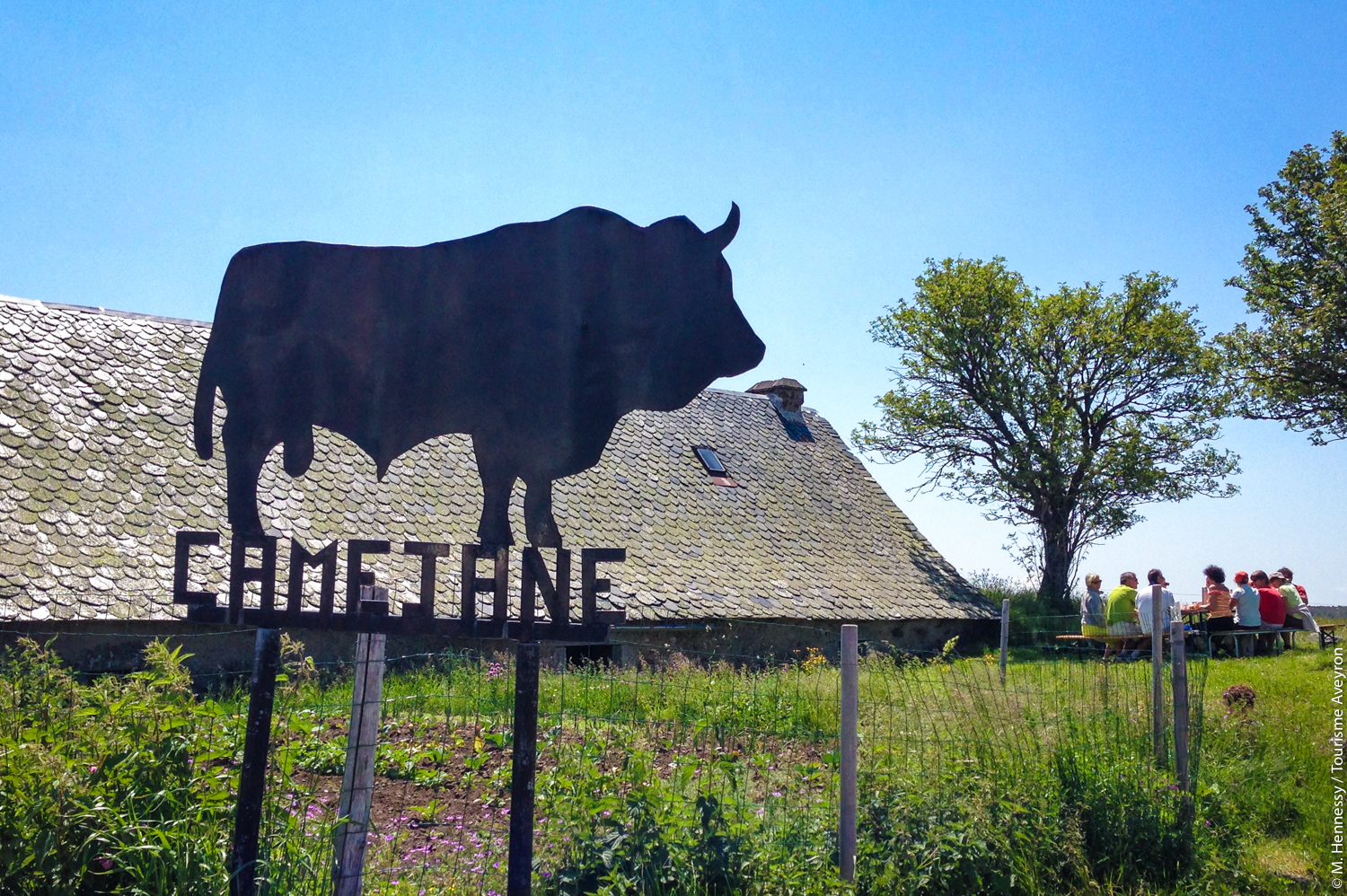 Où manger un aligot dans un buron en Aveyron