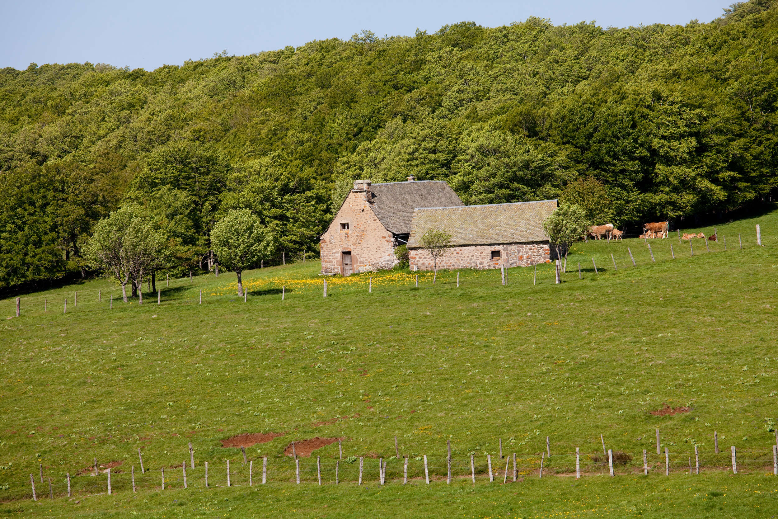 Où manger un aligot dans un buron en Aveyron